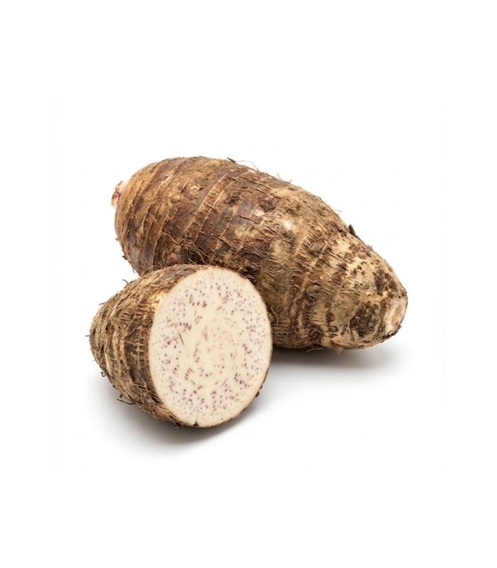 Otoe – Siembra Panamá